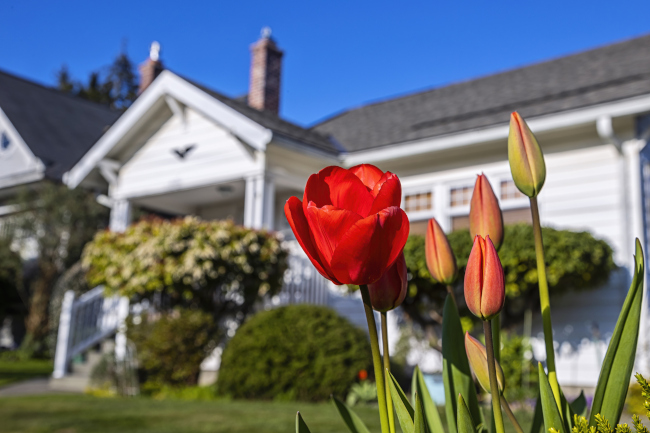 Spring Forward: Exterior Home Care Tips for Spring Prep | Piedmont Home ...