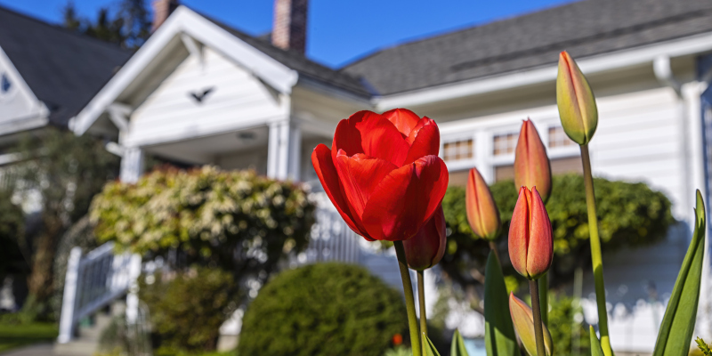 Spring Forward: Exterior Home Care Tips for Spring Prep | Piedmont Home ...
